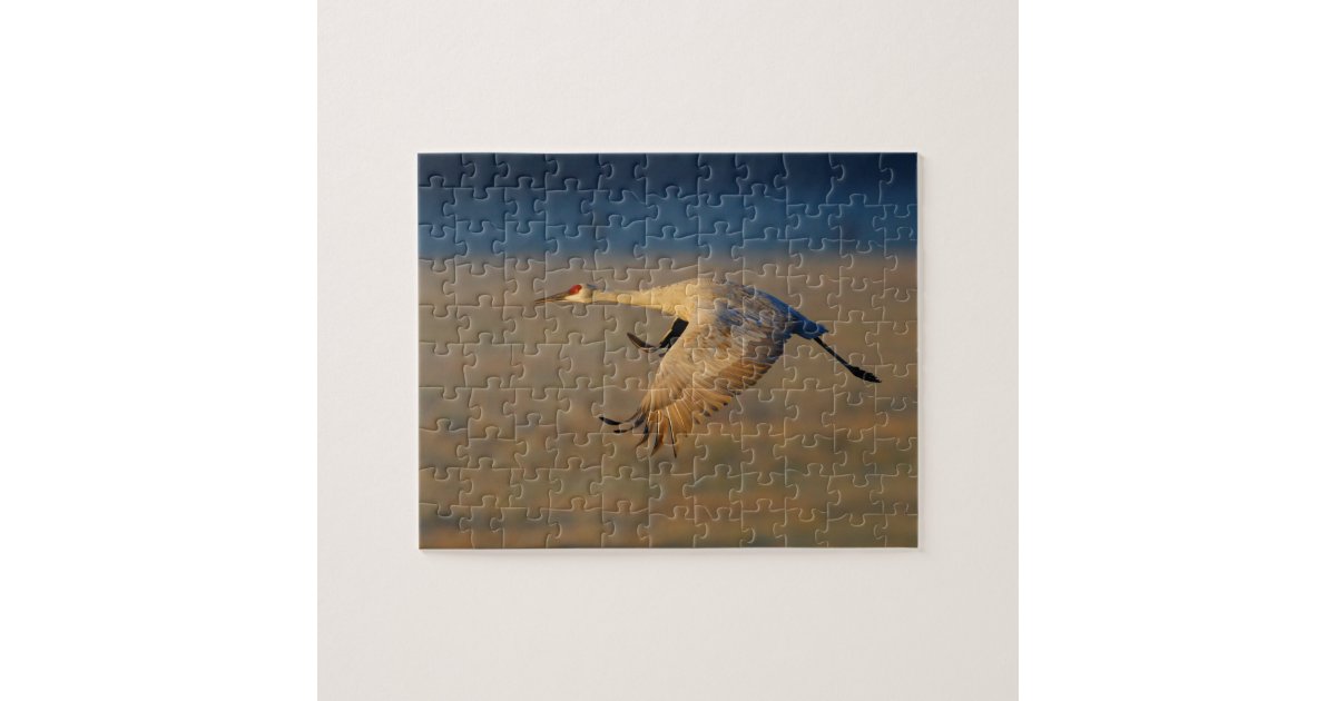 sandhill crane jigsaw puzzle | Zazzle