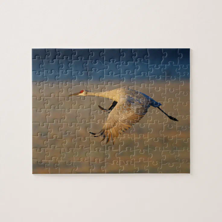 sandhill crane jigsaw puzzle | Zazzle