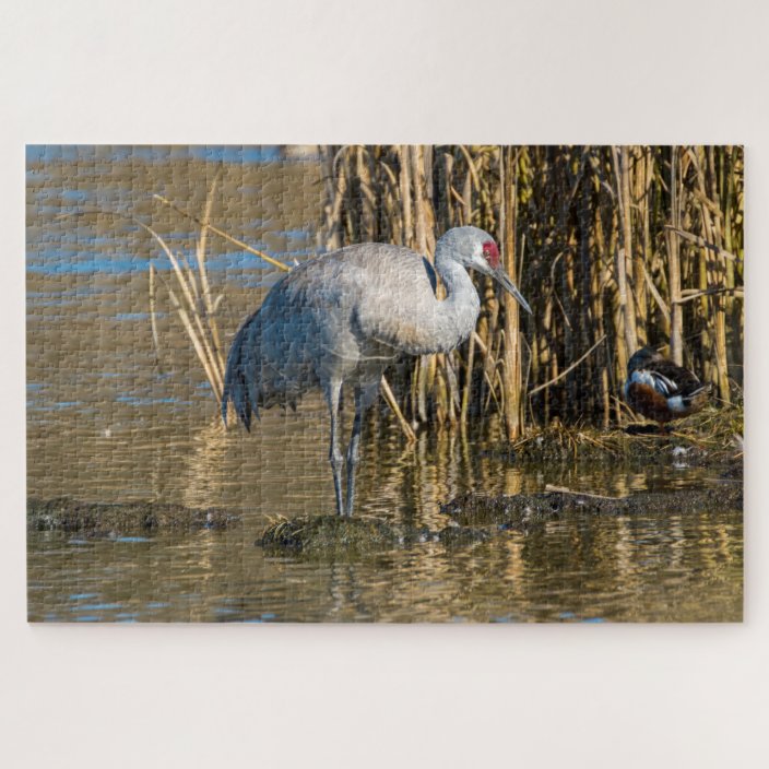 Sandhill Crane Jigsaw Puzzle | Zazzle.com