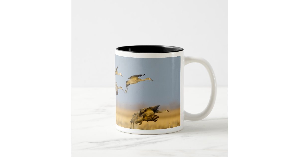 Sandhill cranes land in corn fields Two-Tone coffee mug | Zazzle