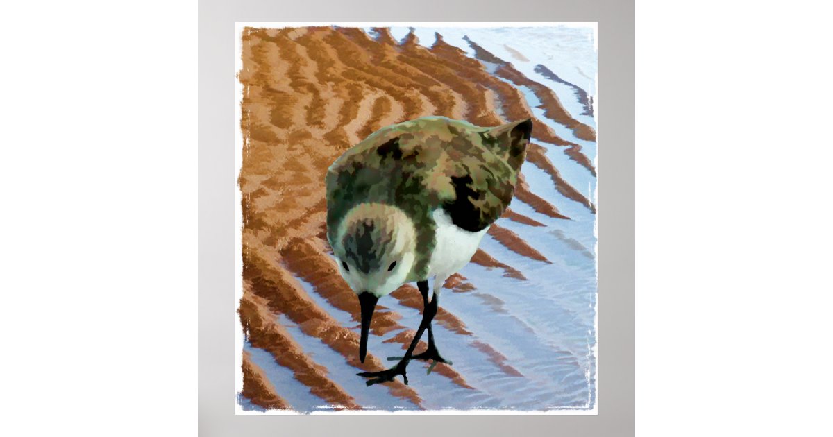 Sandpiper at the Beach Poster | Zazzle