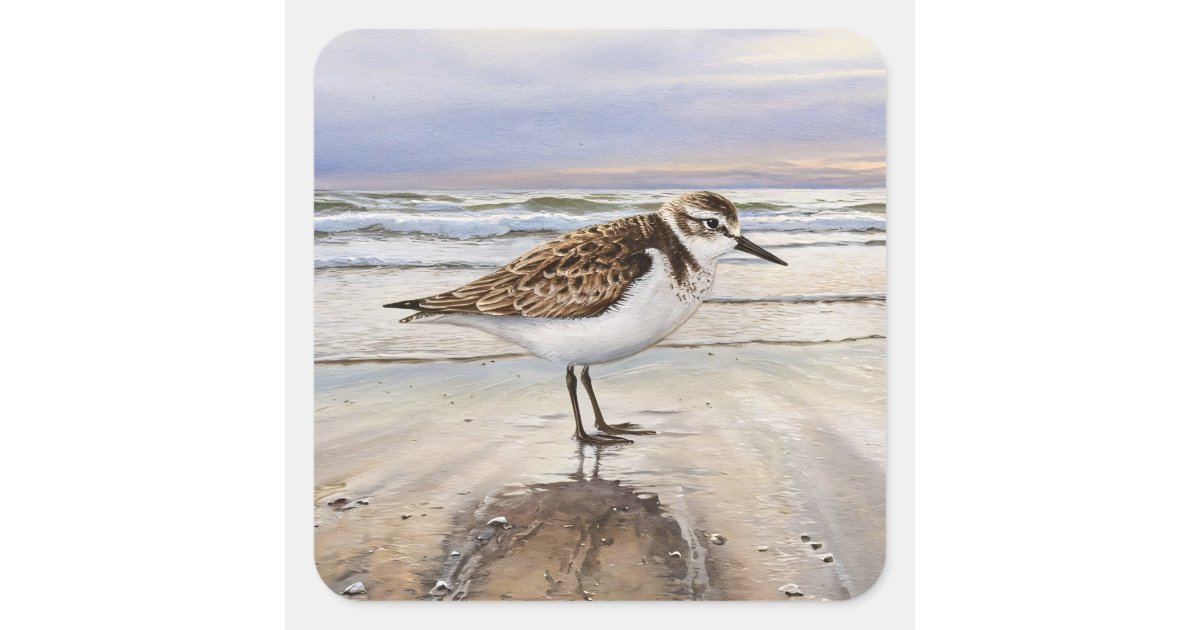 Sandpiper on the Beach Bird Art Square Sticker | Zazzle