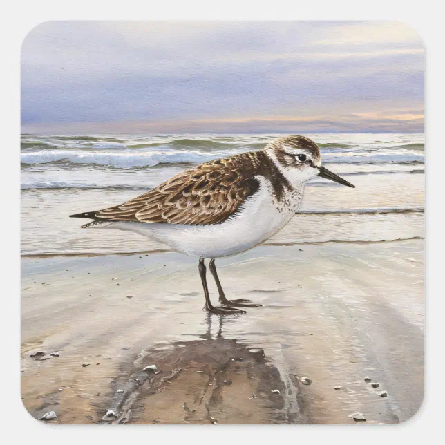 Sandpiper on the Beach Bird Art Square Sticker | Zazzle