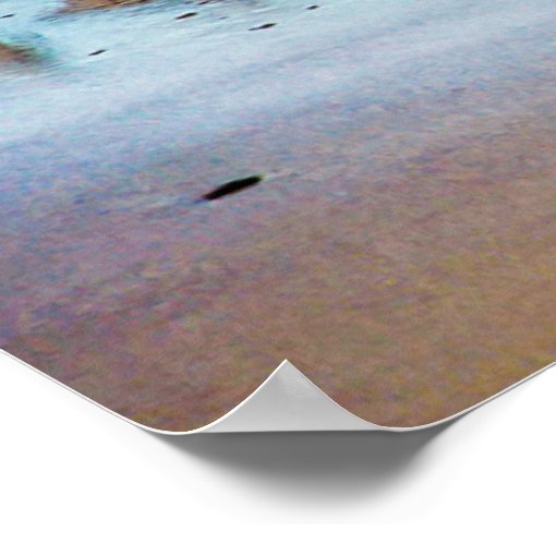 Sandpipers Running Along The Beach Poster | Zazzle