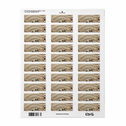 Sandy Beach Background With Shells And Starfish Label | Zazzle