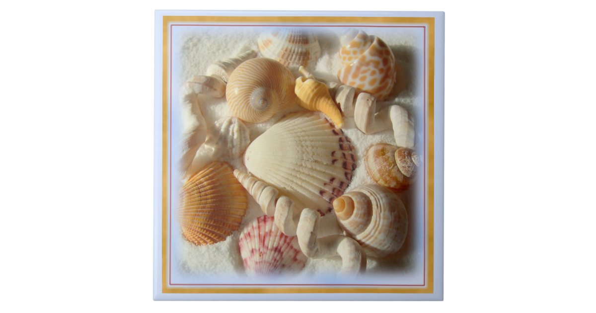 Sandy Beach, Tropical Seashells Ceramic Tile | Zazzle