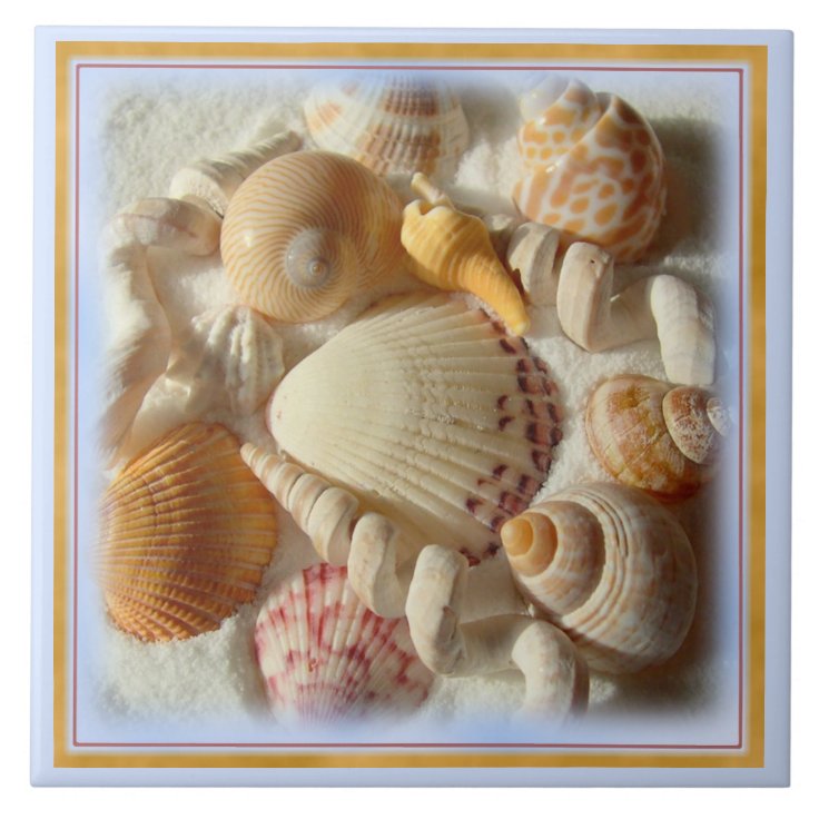 Sandy Beach, Tropical Seashells Ceramic Tile | Zazzle