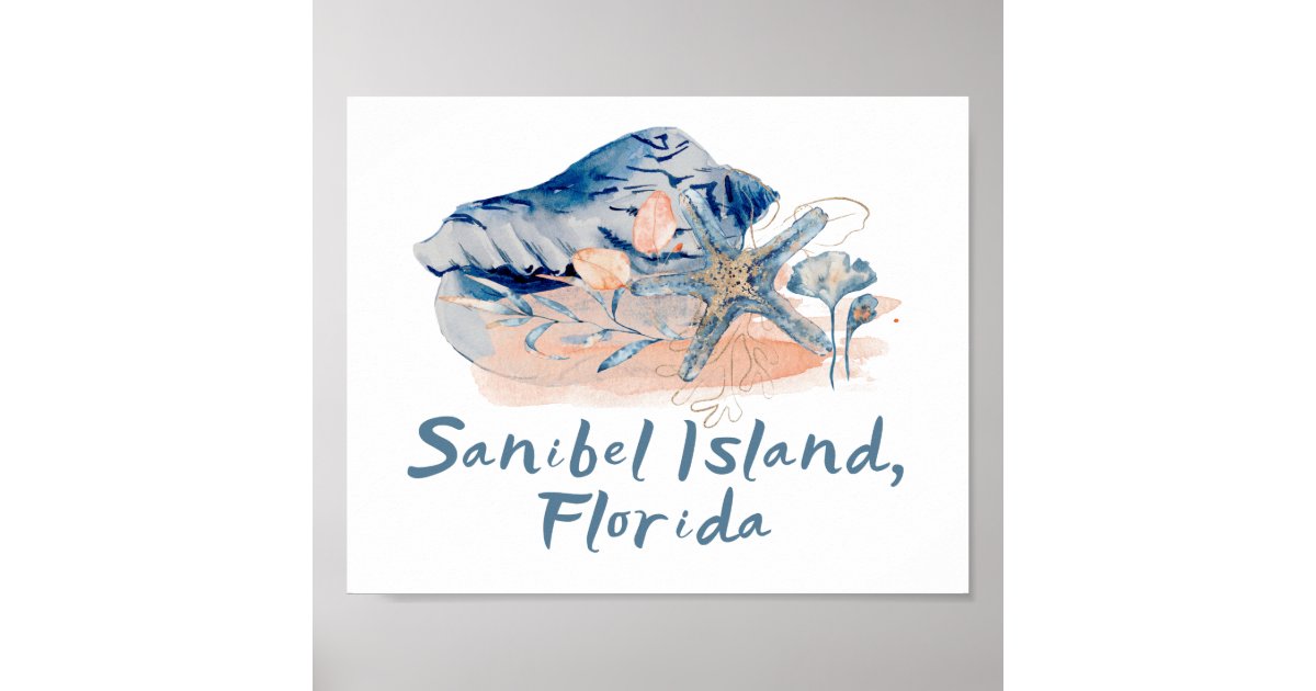 Sanibel Island Seashells Poster | Zazzle