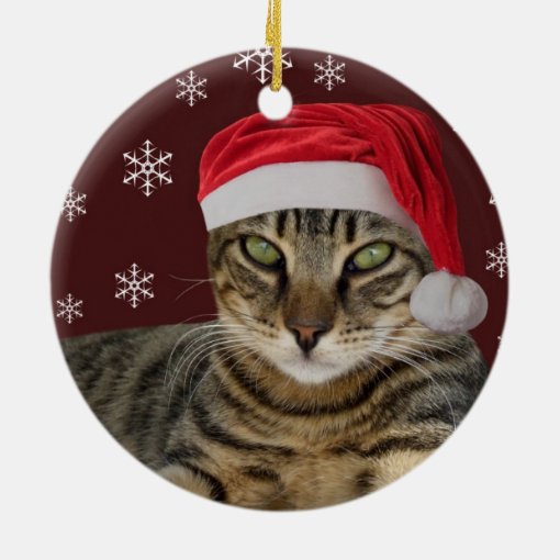 Santa Cat Christmas Ornament | Zazzle