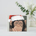 Santa Chimp Holiday Postcard | Zazzle