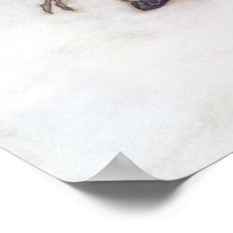 Santa Claus, Arthur Rackham Illustration Poster | Zazzle