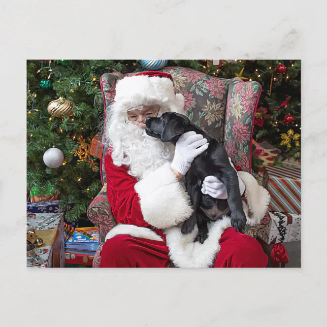 Santa Claus Black Labrador Christmas Cute Puppy Holiday Postcard | Zazzle