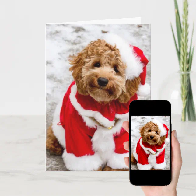 Santa Cockapoo Christmas Card | Zazzle