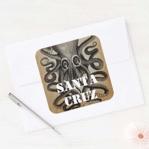 Santa Cruz Octopus Square Sticker | Zazzle
