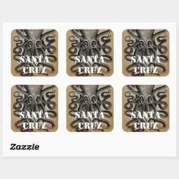 Santa Cruz Octopus Square Sticker | Zazzle