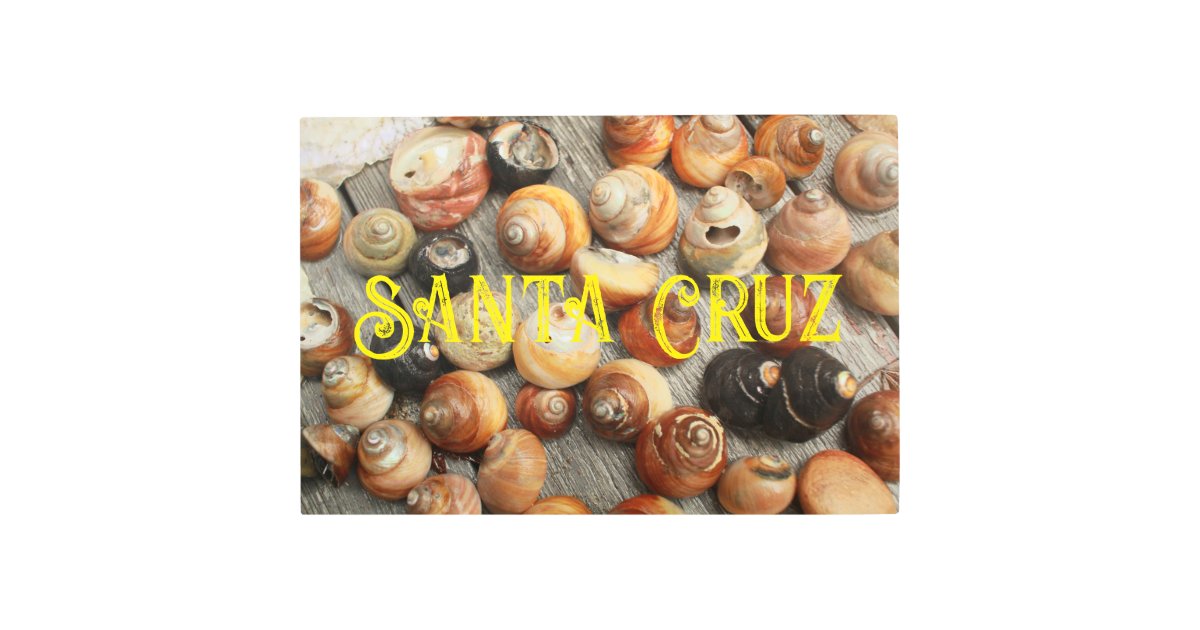 Santa Cruz shells close up yellow lettering Metal Print | Zazzle