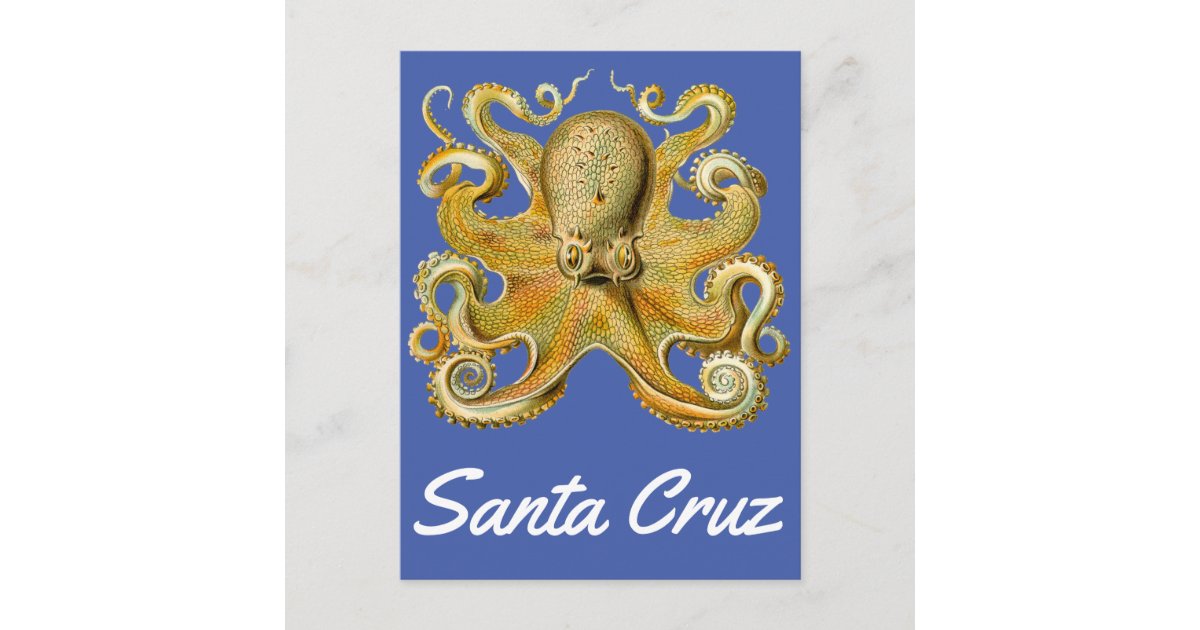 Santa Cruz vintage Octopus Postcard | Zazzle