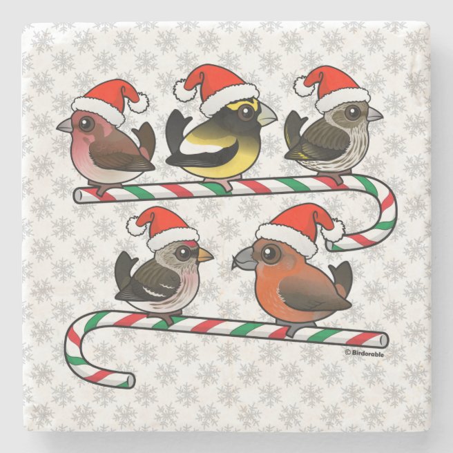 Birdorable Bonanza Finch Invasion! | Birdorable Blog