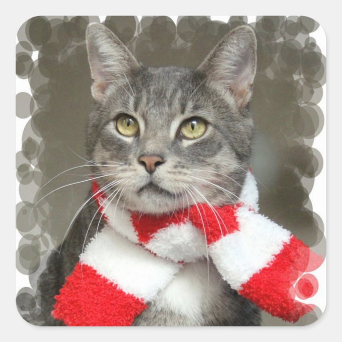 Santa Helper Cat Sticker | Zazzle.com