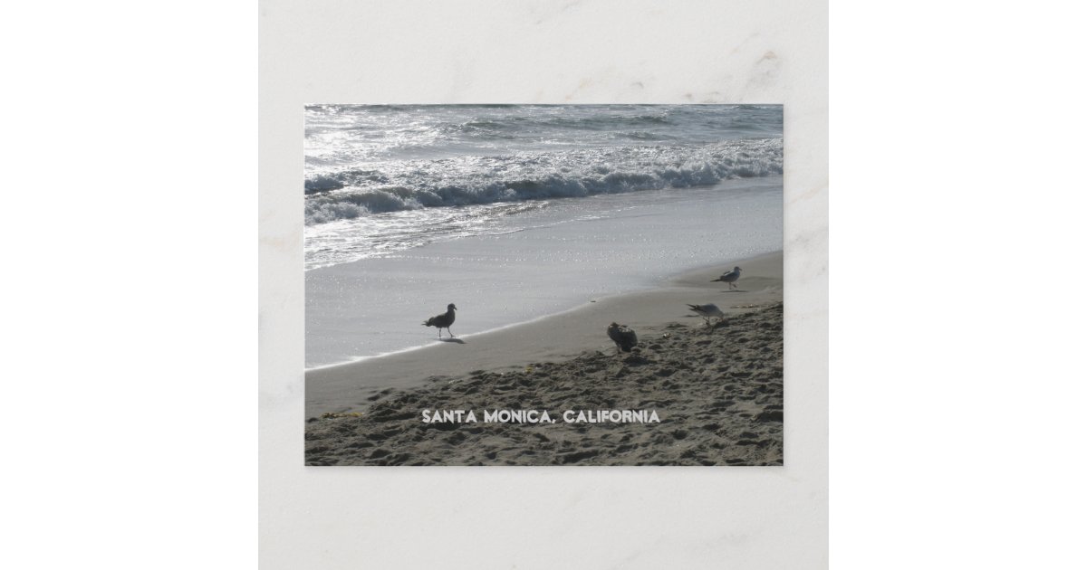Santa Monica, California Postcard | Zazzle