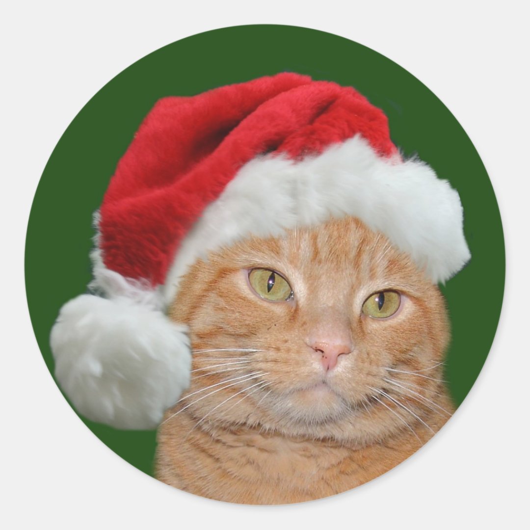 Santa Paws Classic Round Sticker | Zazzle