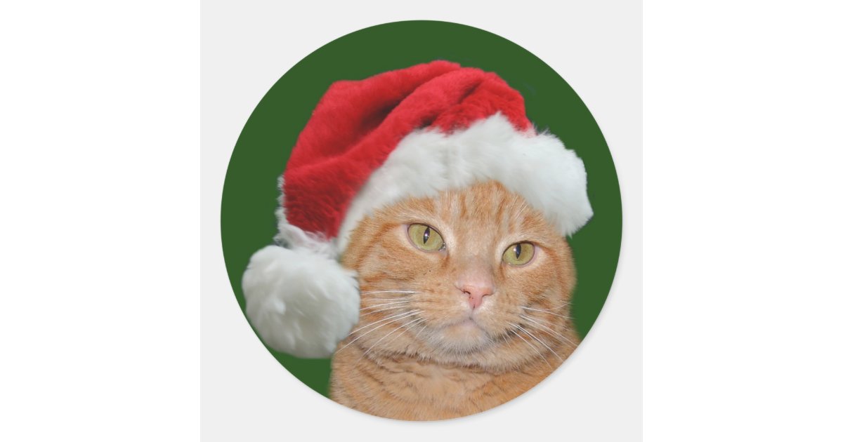 Santa Paws Classic Round Sticker | Zazzle