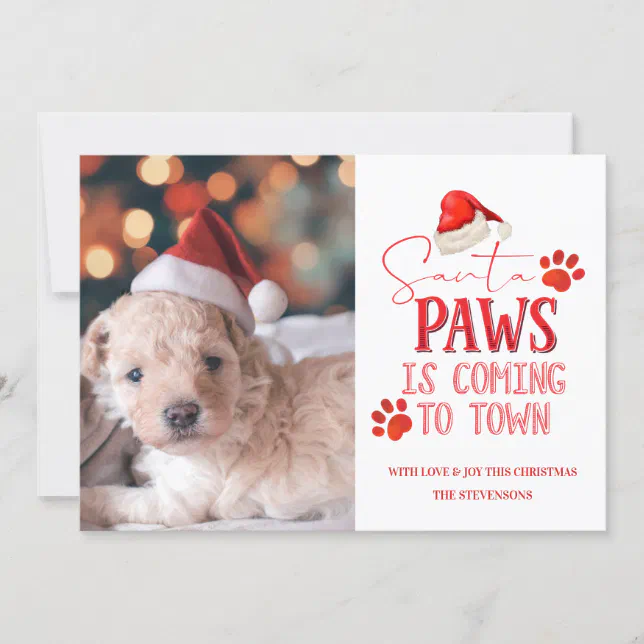 Santa Paws is Coming to Town Christmas Photograph Holiday Card | Zazzle