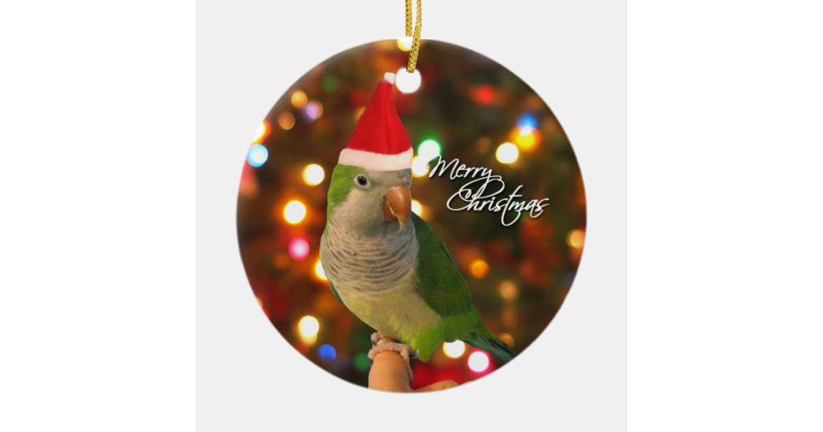 Santa Quaker Parakeet Christmas Ornament | Zazzle