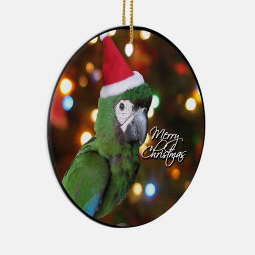Santa Severe Macaw Christmas Ornament | Zazzle