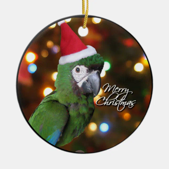 Santa Severe Macaw Christmas Ornament | Zazzle