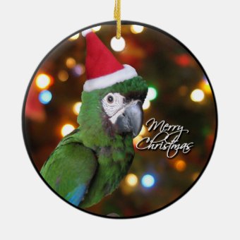 Santa Severe Macaw Christmas Ornament | Zazzle