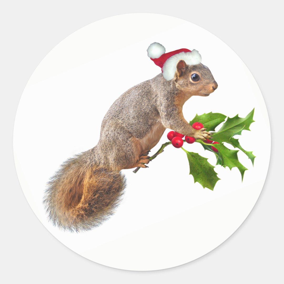 Santa Squirrel with Holly Christmas Stickers | Zazzle