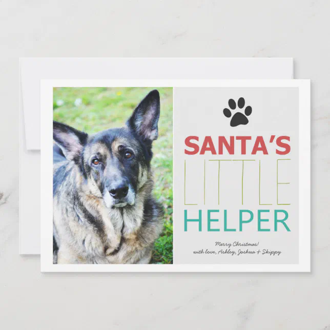 Santa's Helper- Pet Photo Holiday Flat Cards | Zazzle