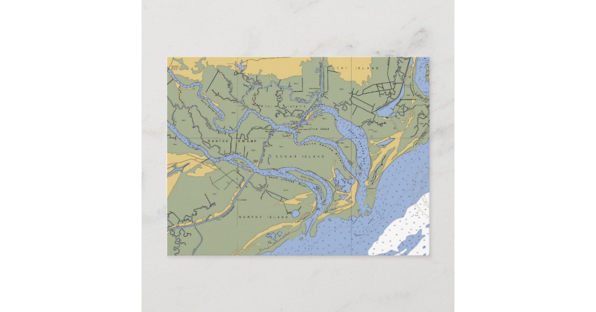 Santee swamp, SC Nautical Chart Postcard | Zazzle