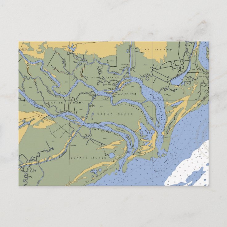 Santee swamp, SC Nautical Chart Postcard | Zazzle