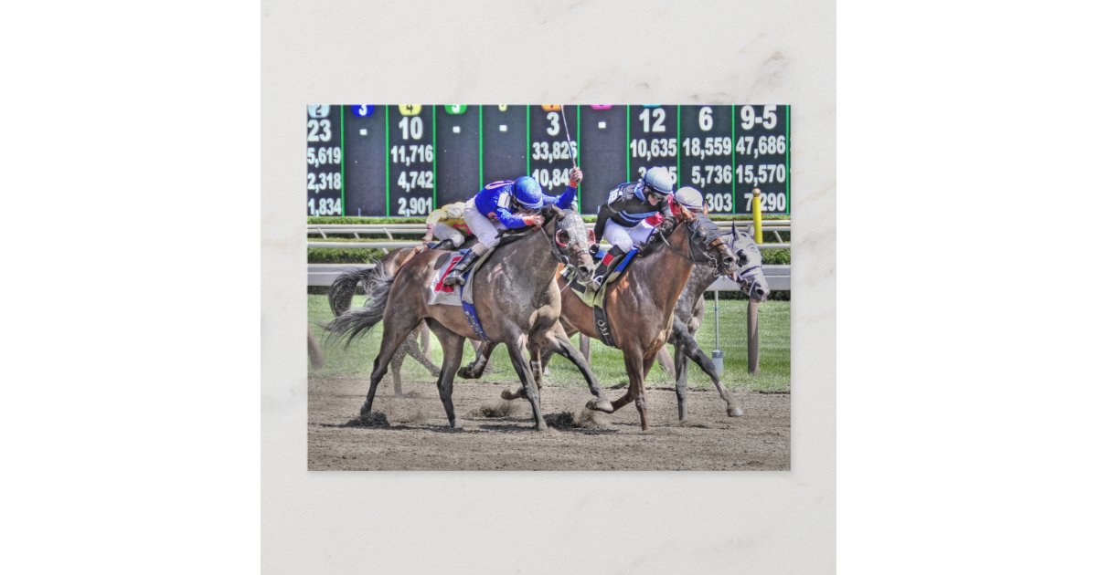 Saratoga Horse Racing Postcard | Zazzle