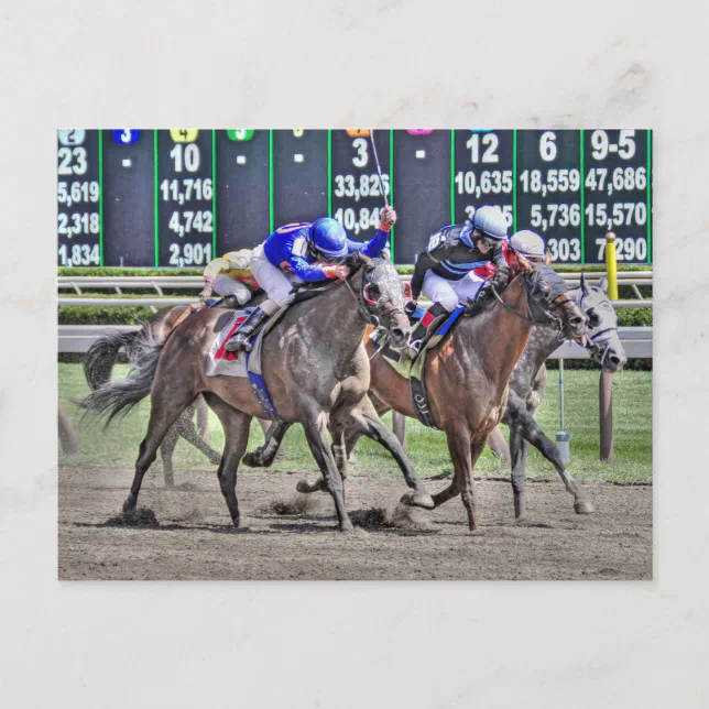 Saratoga Horse Racing Postcard | Zazzle