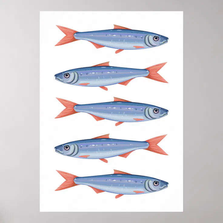 Sardines Poster | Zazzle