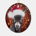 Sassy Pygmy Goat Santa Hat Christmas Ornament | Zazzle