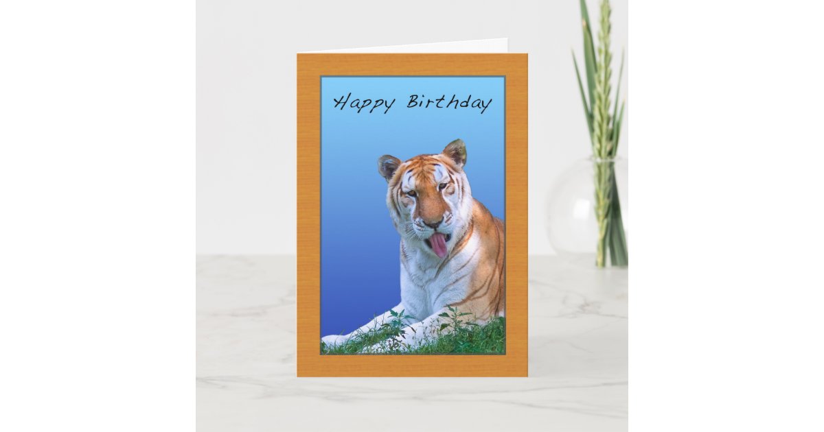 Sassy Tiger Birthday Card | Zazzle