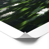 Satori Poster | Zazzle