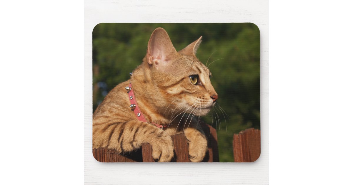 Savannah Cat Mousepad | Zazzle