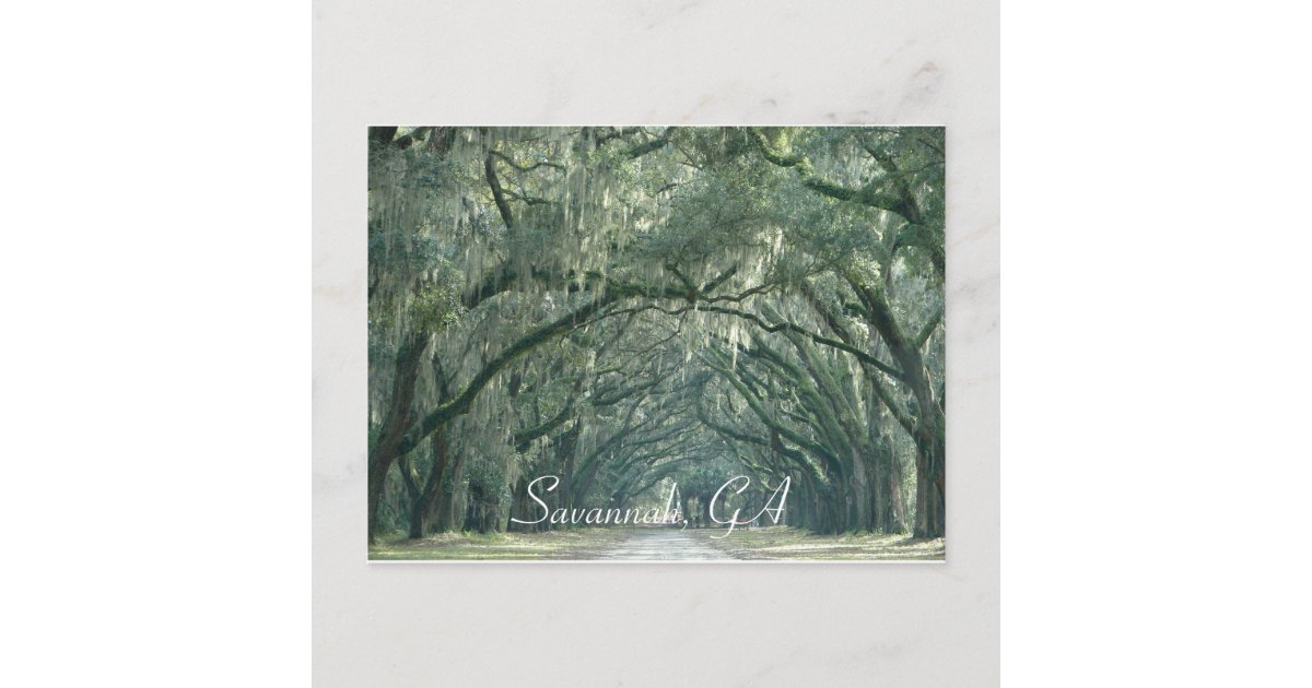 Savannah, GA Postcard | Zazzle