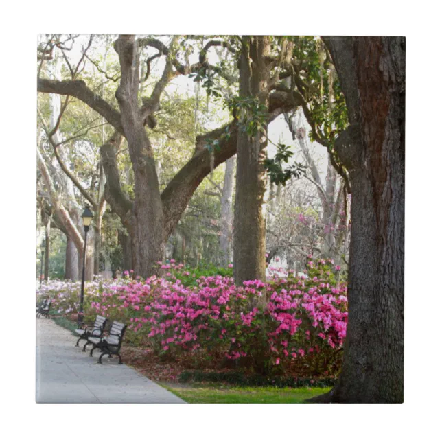 Savannah Georgia in Spring Forsyth Park Azaleas Oa Tile | Zazzle