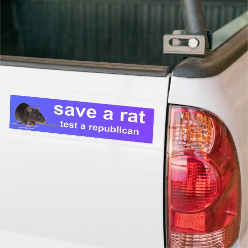 save a rat bumper sticker | Zazzle