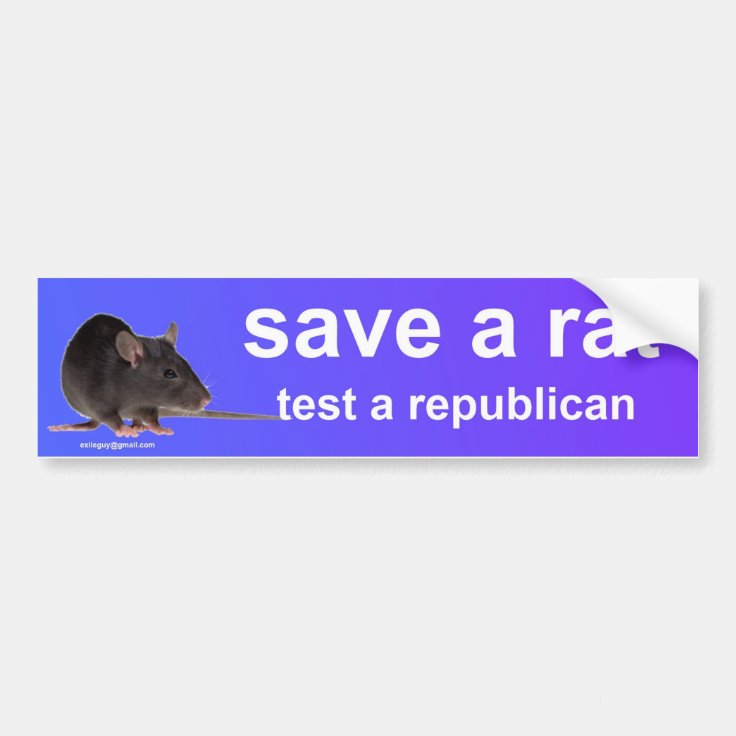 save a rat bumper sticker | Zazzle
