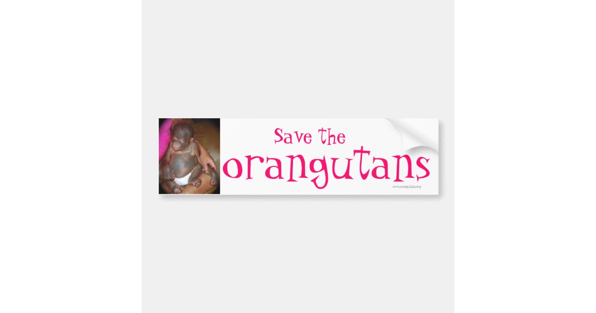 Save Endangered Species : orangutans Bumper Sticker | Zazzle