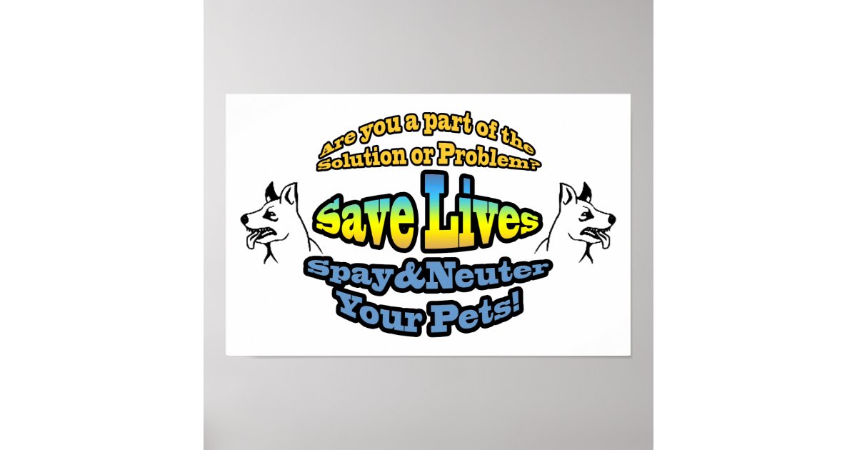 Save Lives Spay & Neuter Your Pets! Poster | Zazzle