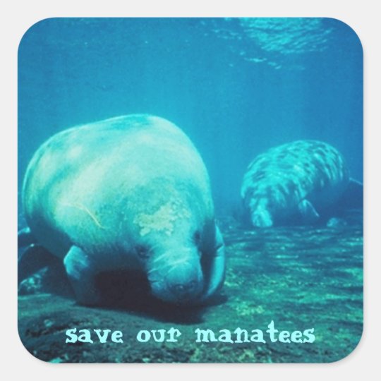 Save Our Manatees Stickers | Zazzle.com