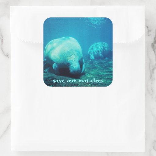 Save Our Manatees Stickers | Zazzle